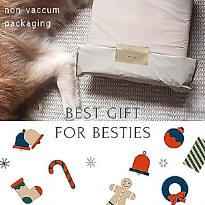 iFur 12 Squeaky Carrots Enrichment Dog Puzzle Toys, Hide and Seek Carrot Farm Dog Toys, 13''x13'' Carrot Patch Dog Snuffle Toy for Small Medium and Large Dogs (12 Squeaky Carrots + Corn)