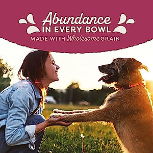 Natural Balance Original Ultra Fat Dogs Adult Low Calorie Wet Dog Food for Overweight Dogs, Chicken & Salmon Recipe in Broth, 13-oz. Can (Pack of 12)