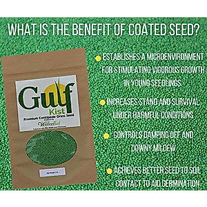 Centipede Grass Seed for a Dense Green Lawn, NO Mulch, 1 lb Coated Seeds, Sun and Moderate Shade Tolerant Lawn Seeding and Turf Patch Repair, Southern Southeast US, Low Fertilizer Low Maintenance