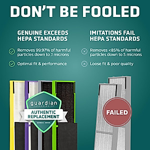 Germ Guardian FLT5250PT True HEPA Genuine Air Purifier Replacement Filter C, with Pet Pure Treatment for GermGuardian AC5250PT, AC5000E, AC5300B, AC5350W, AC5350B, CDAP5500, and More