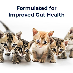 Pet-Ag Goat’s Milk KMR Kitten Milk Replacer Liquid - 11 oz - Liquid Kitten Formula with Vitamins, Minerals & Trace Nutrients for Kittens Newborn to Six Weeks Old - Easy to Digest