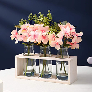 hehimhis Desktop Glass Planter Vase with Wooden Stand for Hydroponics Plants Decor for Home Office Garden Wedding, Pink