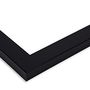 Art to Frames Double-Multimat-646-844/89-FRBW26079 Collage Photo Frame Double Mat with 1 - 12x16 Openings and Satin Black Frame