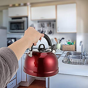 BESTonZON Tea Kettle Stove Whistling Tea Kettles Stainless Steel Teakettle Teapot with Ergonomic Handle Hot Water Boiling Sounding Kettle for Home Kitchen Red 3L Tea Pot