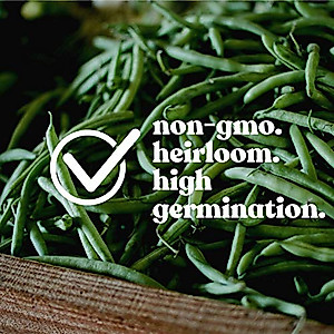 California Black-Eye Bush Beans - 30 g Packet ~100 Seeds - Non-GMO, Heirloom - Black-Eyed Peas (Cowpeas) - Vegetable Garden Seeds