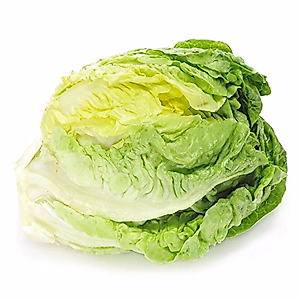 Hanson Improved Crisphead Lettuce Seeds for Planting, 1000+ Heirloom Seeds Per Packet, Non GMO Seeds, Botanical Name: Lactuca Sativa, Great Home Garden Gift