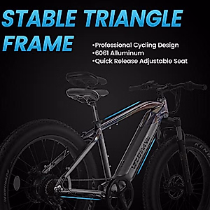 VELOWAVE Electric Bike Adults 750W BAFANG Motor 48V 15Ah LG Cells Battery,26" x 4.0" Fat Tire Ebike 28MPH Snow Beach Mountain Electric Bicycle Shimano 7-Speed