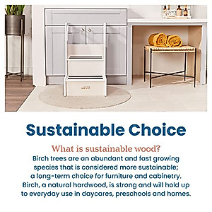 ECR4Kids Reach-Up Step Stool with Handles, Children's Furniture, White Wash