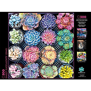 Buffalo Games - Sweet Succulents - 300 Large Piece Jigsaw Puzzle Multicolor, 18"L X 18"W