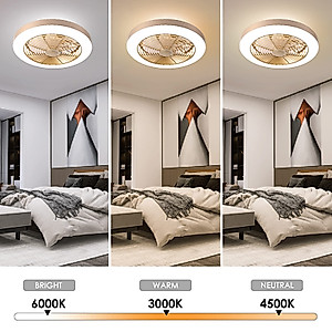 Orison Low Profile - 19.7" Smart Bladeless ceiling fans with Light and Remote,3 Colors Dimmable LED 6 Speeds 8 Blades Enclose for Adult Kids Living Room Bedroom