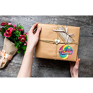 You are Awesome Sticker 2 inch Kudos Appreciation Stickers Colorful You Make a Difference Labels for Healthcare,Nurses,Gratitude Volunteers Nurses Teacher Business 500 pcs per roll