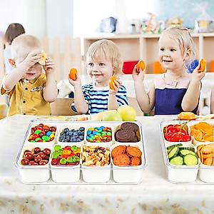 Divided Serving Tray with Lid 10 Forks 8 Compartment Snack Container Snackle Box Containers,Organizer Portable Handle for Parties, Fruits, Nuts, Outdoor Picnics (Style 1 with Animal Forks)