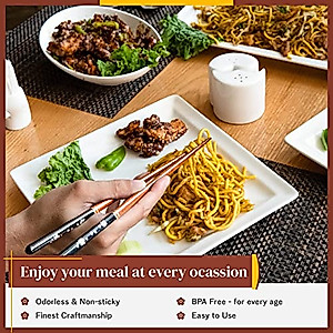 LAIB Japanese Wooden Chopsticks Set, 5 Pairs Premium Class Reusable Chopsticks in Luxurious Gift Box