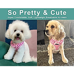 SuperBuddy Upgraded No Pull & No Choke Dog Harness, Super Soft Mesh Breathable Pet Vest Harnesses, Lightweight Adjustable Vest Harness for Puppies Small Dogs Comfort Fit