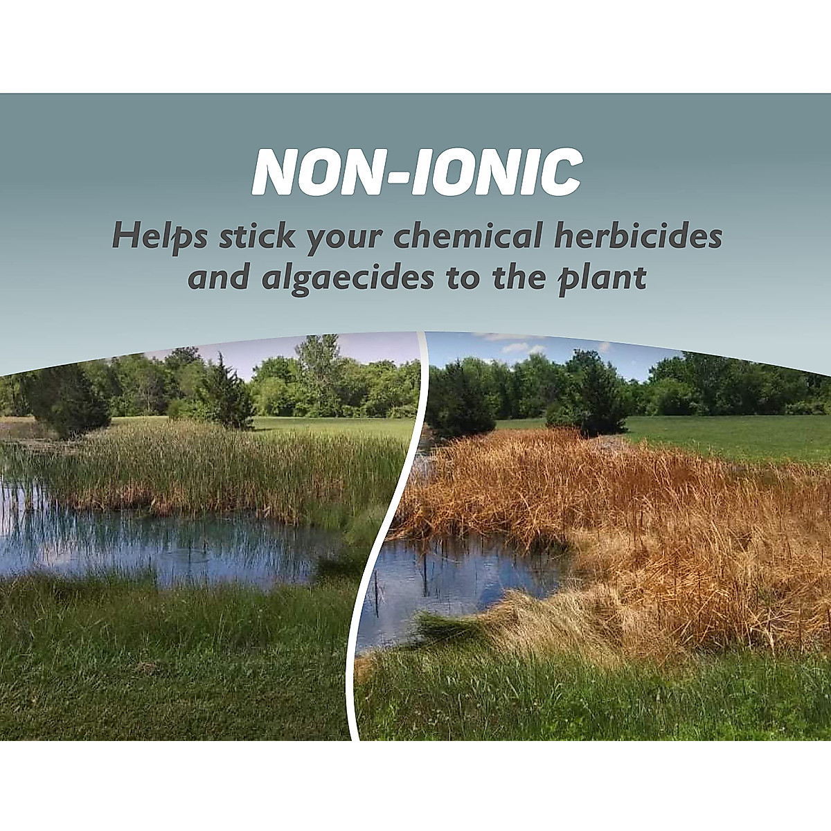 Plex Mate Aquatic Surfactant for Herbicides – Quart- Non-Ionic, Increase Product Coverage, Increase Product Penetration, Increase Product Effectiveness