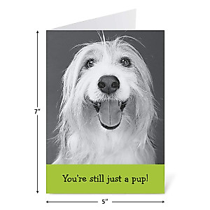 Mega Birthday Greeting Cards Value Pack - Set of 40 (20 designs), Large 5" x 7", Birthday Cards with Sentiments Inside, White Envelopes