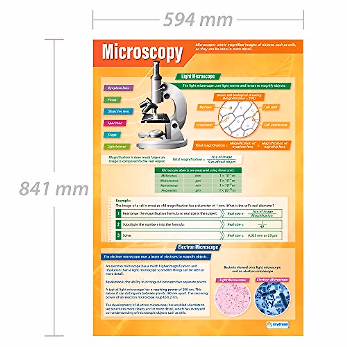 Daydream Education Microscopy | Science Posters | Gloss Paper measuring 33” x 23.5” | STEM Charts for the Classroom | Education Charts