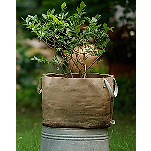 Smart Pots 20-Gallon Smart Pot Soft-Sided Container, Tan with Strap handles