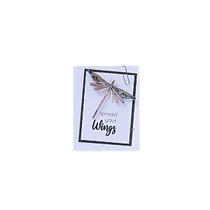 Sizzix Thinlits Die Set 5PK Funky Insects by Tim Holtz, 665364, Multicolor