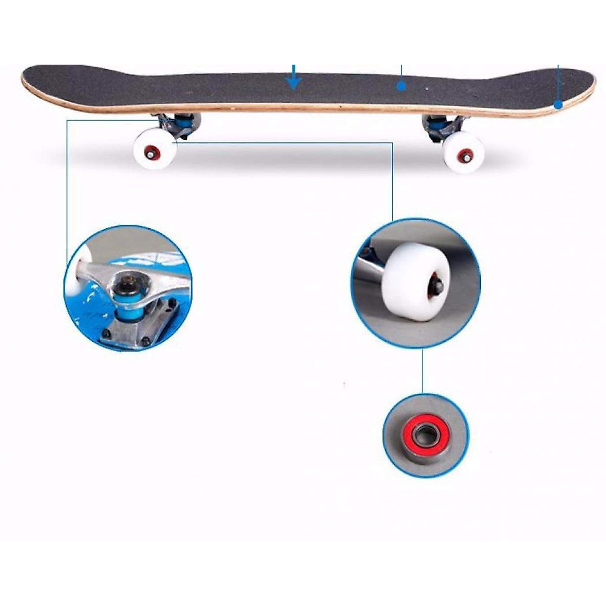 Wilver Complete Skateboards for Beginners Pro 31 inches Complete Skateboards for Teens Beginners Girls Boys Kids Adults, Maple Wood Skateboard (Color B)