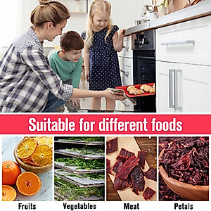 8 Pcs Silicone Dehydrator Mats 10 Pcs Mesh Screen Dehydrator Sheets Nonstick Reusable Fruit Dryer Trays for Jerky Fruit Herbs Flax Crackers Crust Tray (Red)