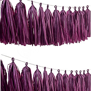 15 Pcs Burgundy Tassel Garland Wedding Party Supplies Decoration Tassel Banner for Birthday Baby Shower Bridal Shower Bachelorette Decoration