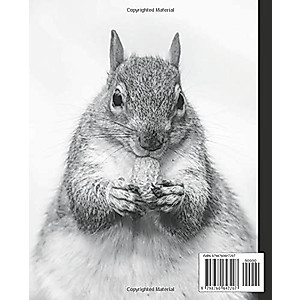 Squirrel Composition Notebook: Cute Squirrel Wide Ruled Composition Notebook 110 Pages. A Workbook For Kids, Teens, Students And Adults