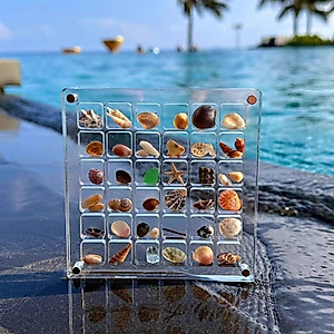 XronSlute Acrylic Magnetic Seashell Display Box,DIY Seashell Display Box,Clear Storage Box for Seashell,Gemstones,Nail,Jewelry (1Pc 36 Grids Small)