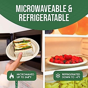 9 Inch Compostable Paper Plates (100 Pack) - Eco-Friendly Disposable Dinnerware for Parties, Microwavable & Water/Oil Resistant - 100% Biodegradable Heavy Duty Brown Plates for Events, Picnics