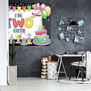 I'm Two Cute Birthday Backdrop Banner Decor Colorful - Happy 2nd Birthday Party Theme Decorations for Baby Girls Boys Supplies One Size