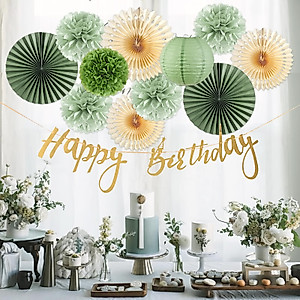 Sage Green Party Decorations Beige Tissue Paper Pom Poms Green Fans Lanterns Sage Party Decorations Boho Green Cream Party Decorations for Sage Birthday Wedding Bridal Baby Shower