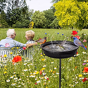 28In Freestanding Birdbaths Bowl Outdoor, Free Standing Garden Bird Bath Bird Feeder Bowl with Metal Stake, Detachable Decoration Spa Birdfeeder for Garden Patio Yard Lawn, 4 Spiky Feet (Free)