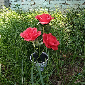 Penfly LED Solar Power Decorative Artificial Rose Flower Pot Plant Landscape Light Night Lamp Outdoor Garden Yard Pathway Lawn Grassland Red