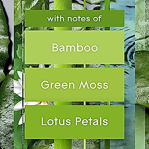 Glade Candle Bamboo & Waterlily Bliss, Fragrance Candle Infused with Essential Oils, Air Freshener Candle, 3-Wick Candle, 6.8 Oz