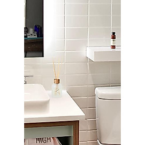 aromArt Fragraces Reed Diffuser / Eucalyptus / 3.4 Fl Oz(100ml) / Made of Essential Oil / Fragrance Décor for Home Rooms and Offices / Beautiful Gift Set for Holidays