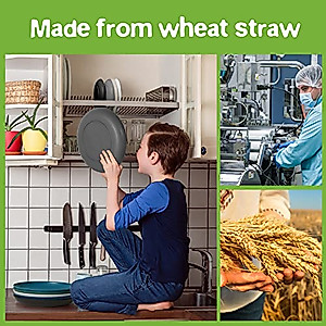 Teivio 24-Piece Kitchen Plastic Wheat Straw Dinnerware Set, Service for 6, Dinner Plates, Dessert Plate, Cereal Bowls, Cups, Unbreakable Plastic Outdoor Camping Dishes, Coastal Multicolor