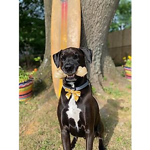 Nylabone Power Chew Mega Knot Bone Big Dog Chew Toy Mega Knot Chicken XX-Large/Monster (1 Count)