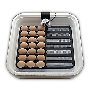 HovaBator 2370 Egg Incubator Deluxe Combo Kit, Electronic Thermostat, Circulating Air Fan, Automatic Egg Turner, Hygrometer for Humidity Measurement, Quail - Goose Hatching Eggs, Poultry