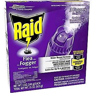 Raid Flea Flogger Plus Killer, Kills Fleas and Hatching Eggs (3 Count (Pack of 3)