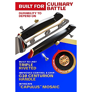 DALSTRONG Fillet Knife - 7 inch - Flexible Kitchen Knife - Centurion Series - Swedish 14C28N High Carbon Stainless Steel - Boning, Trimming, Skinning - Razor Sharp - G10 Handle Boning Knife - w/Sheath