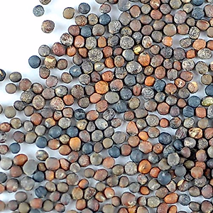 Organic Broccoli Sprouting Seeds By Handy Pantry | 1 Pound Resealable Bag| | Non-GMO Broccoli Sprouts Seeds, Contain Sulforaphane