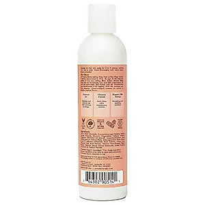 SheaMoisture 2-in-1 Shampoo and Conditioner for Kids Coconut and Hibiscus Coconut Oil for Hair and Dry Curls 8 oz