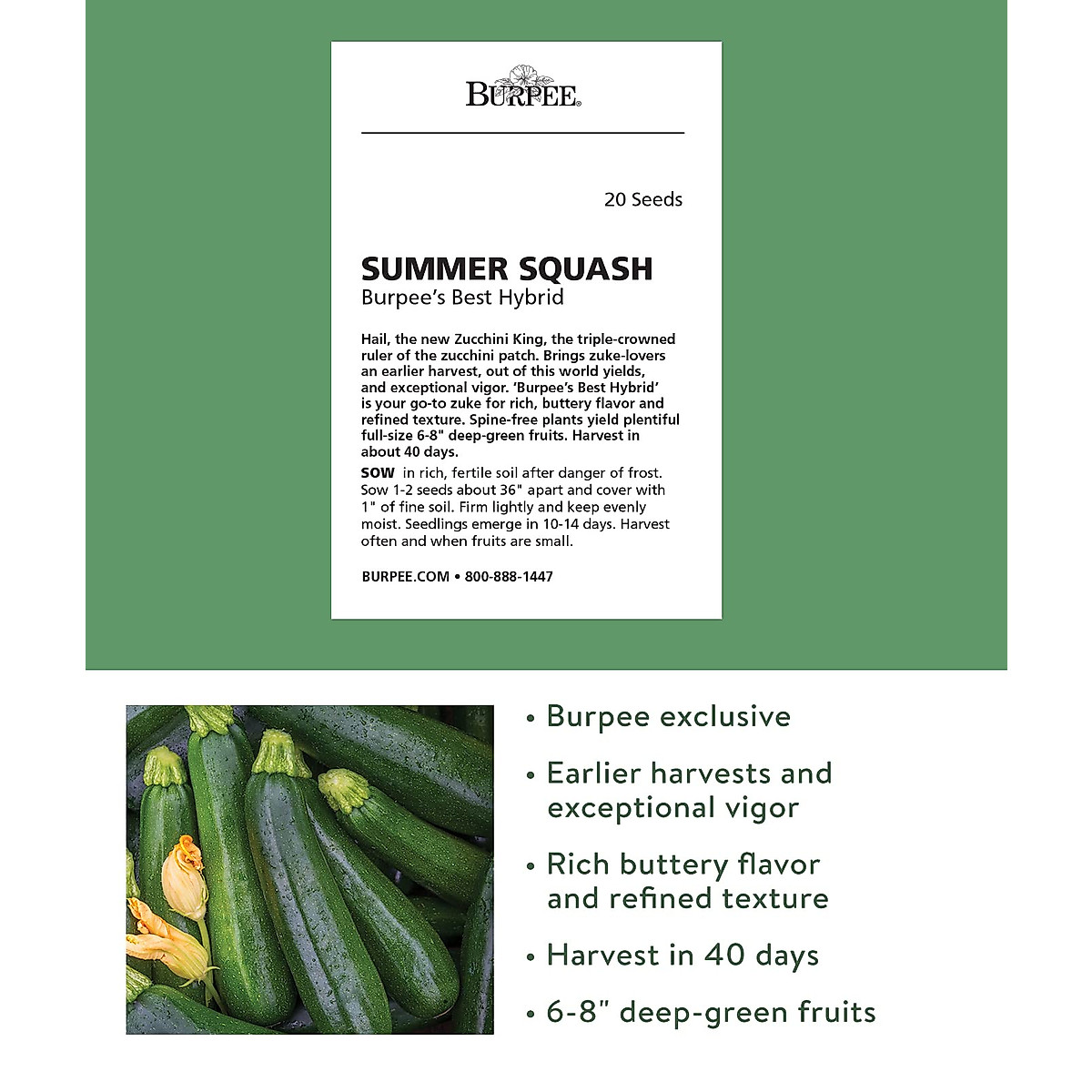 Burpee Best Zucchini Summer Squash Seeds 20 seeds