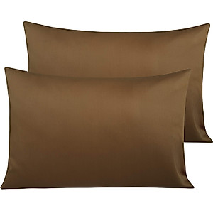 NTBAY Egyptian Cotton Queen Pillowcases - Set of 2, 500 Thread Count Cotton Pillowcases - Soft and Breathable Envelope Closure Pillow Cases - 20x30 Pillow Covers for Bed, Brown
