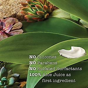 Maui Moisture Detoxifying Volcanic Ash Scalp Care Mask, Coconut, 12 Ounce