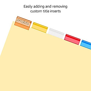 Amazon Basics 8 Tab Dividers for 3 Ring Binder, Insertable Tab, Multicolor, 4-Pack