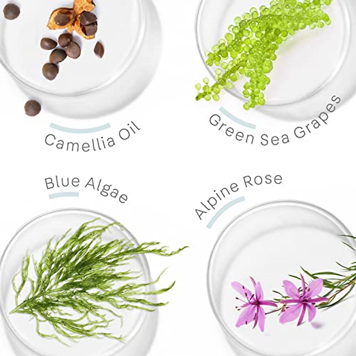 NATURELAB. TOKYO Perfect Texture Curl Conditioner: Strengthen, Smooth and Hydrate Naturally Textured and Curly Hair for a Frizz-Free, Healthy Shine I 11.5 FL OZ / 340ml