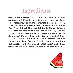 Glow Recipe Mini Watermelon Glow BHA + PHA Pore-Tight Facial Toner - Mild Exfoliating Toner with Hyaluronic Acid, Cactus Water, Soothing Cucumber + Tea Tea Extract, Travel-Size (40ml)