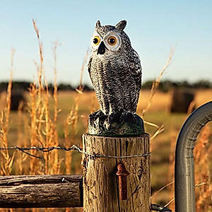 Fake Owl Decoy and Bird Deterrent - Plastic Owls to Scare Birds Away - Effective Bird Deterrent Devices as Scarecrow for Garden - Bird Repellent Devices Outdoor. Keep Birds Away!