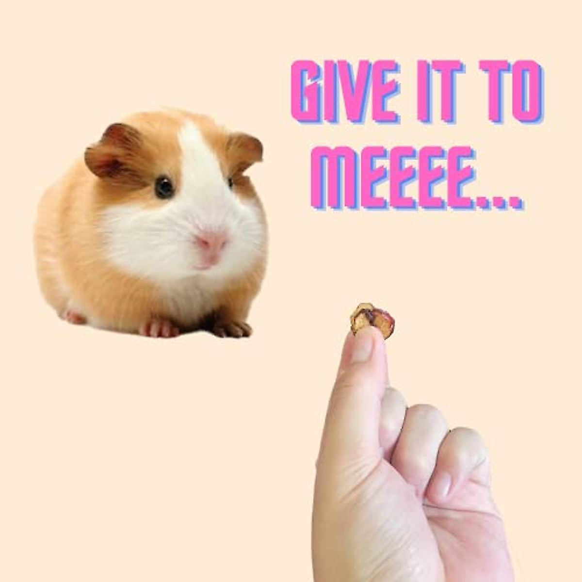 PETIVORE Premium Dried Jujubes for Sugar Glider and Small Exotic Pet - Happy Treats, Snacks and Food (20g)